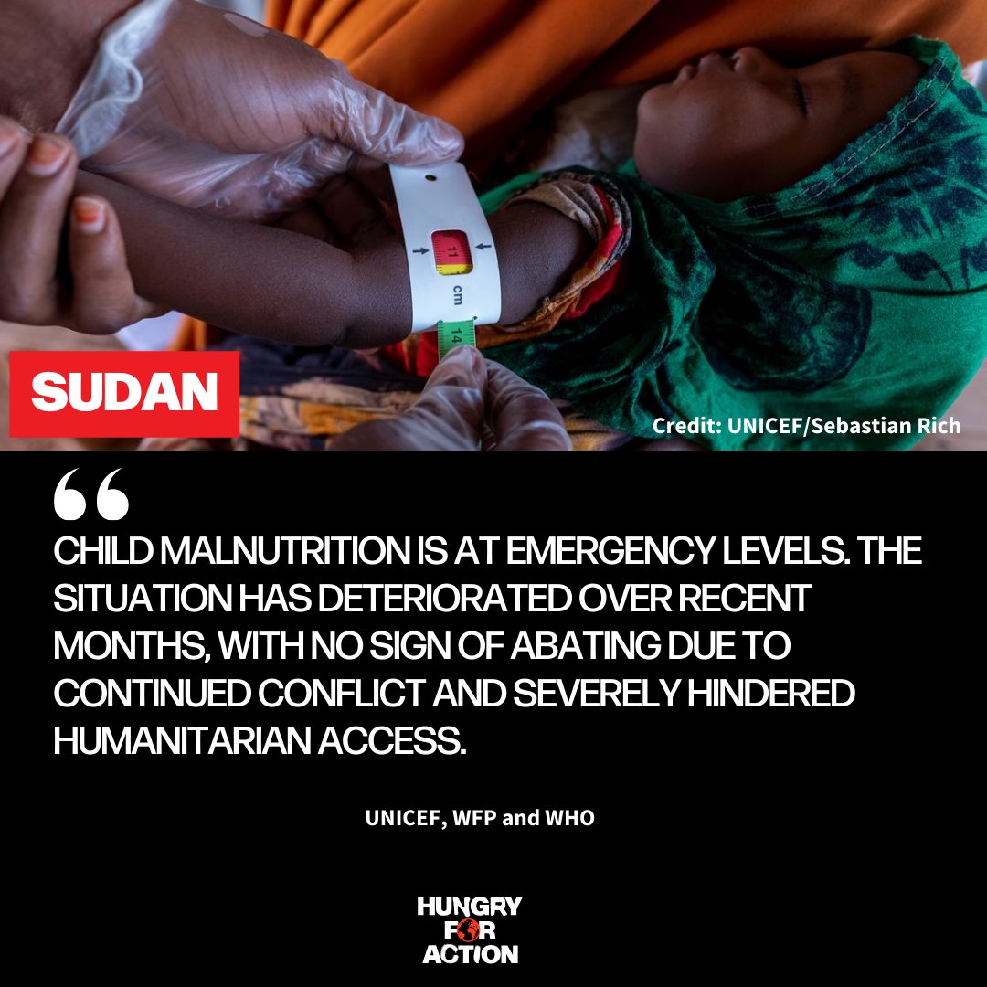 We are the Allies | SDG2 Advocacy Hub