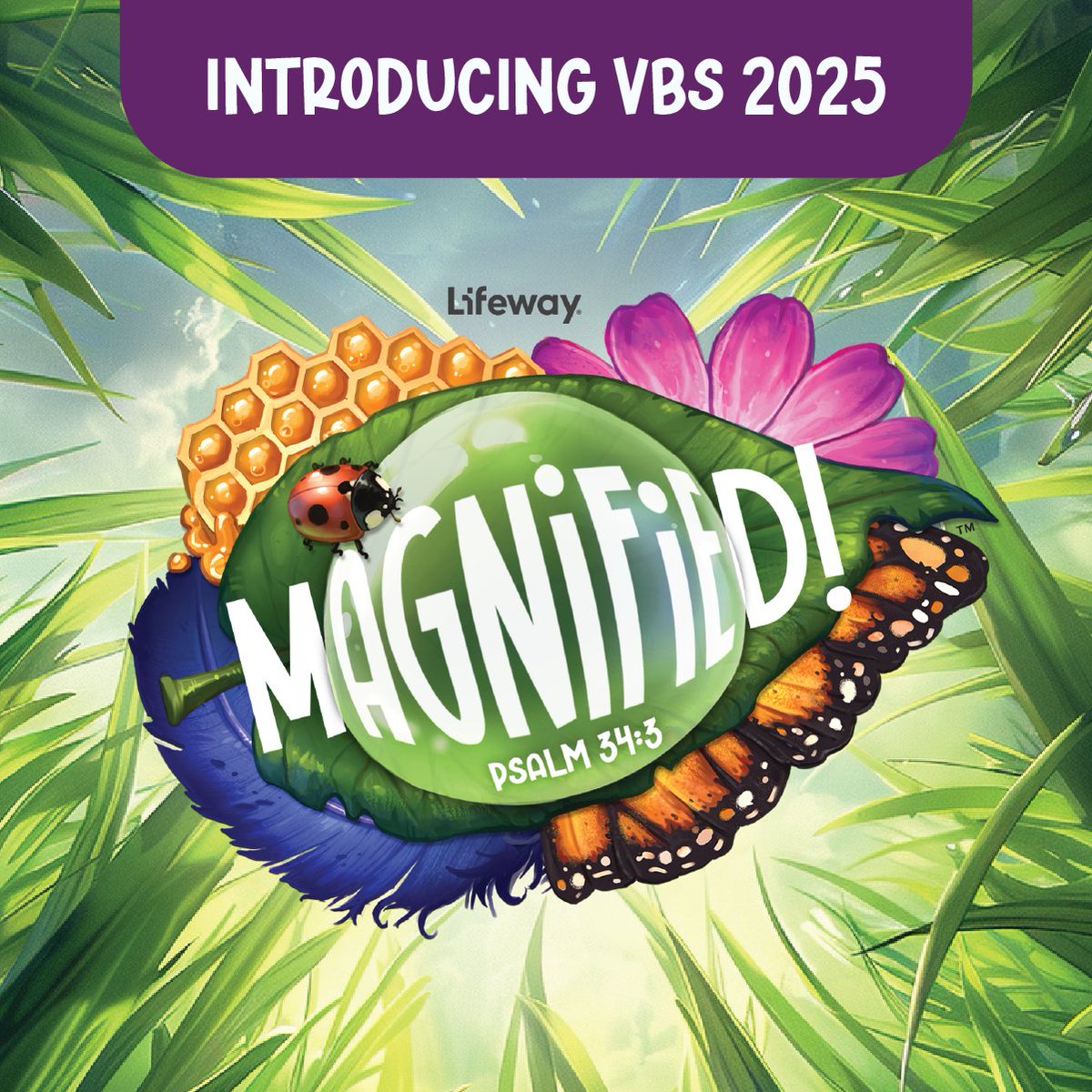 Logo For Lifeway Vbs 2017 Lifeway's VBS 2021 Is ... VBS 2026