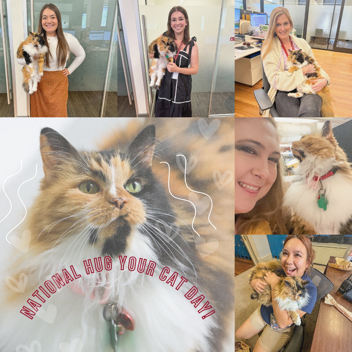 Happy National Hug Your Cat Day