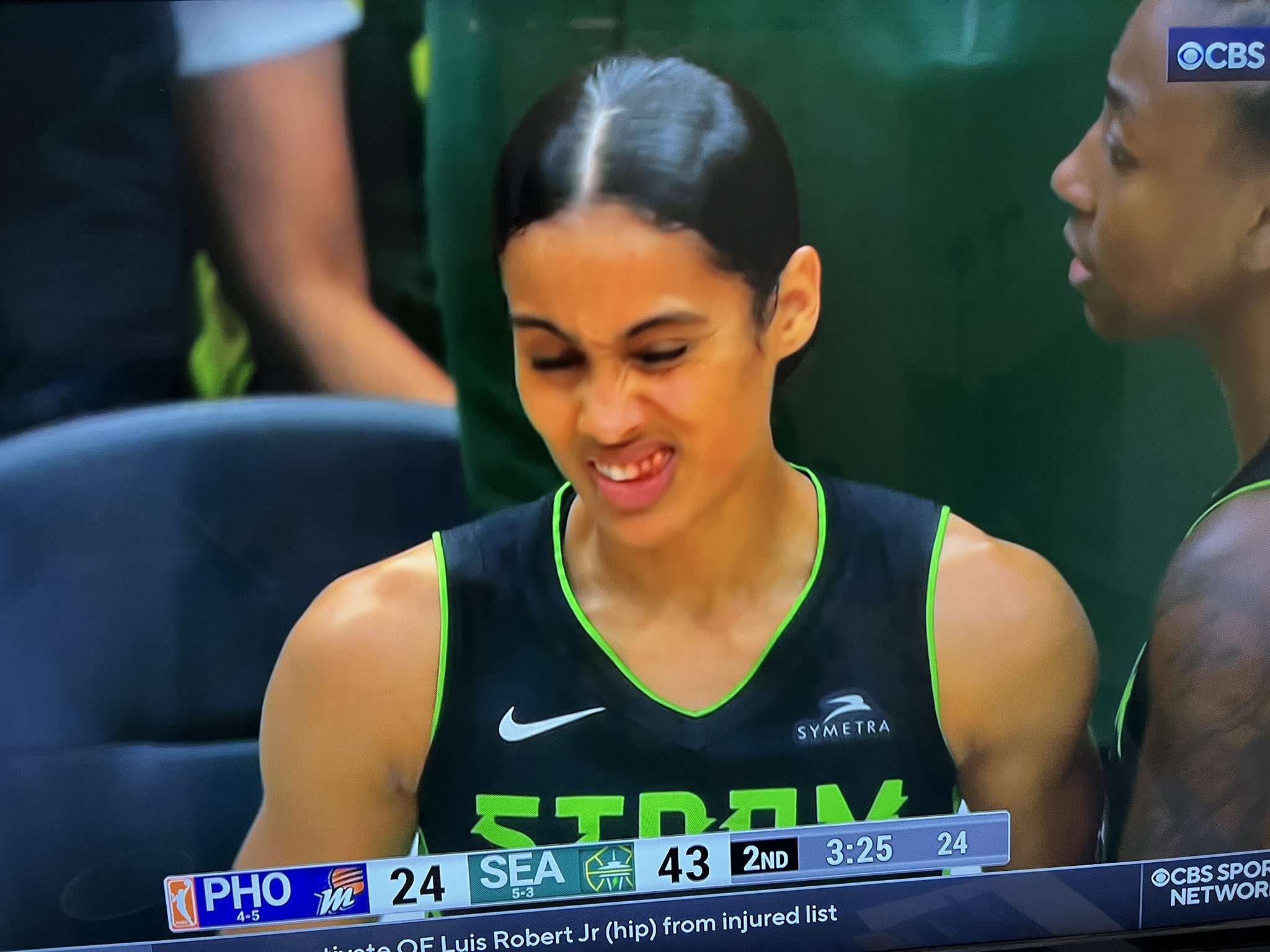 Skylar Diggins Wnba 2024