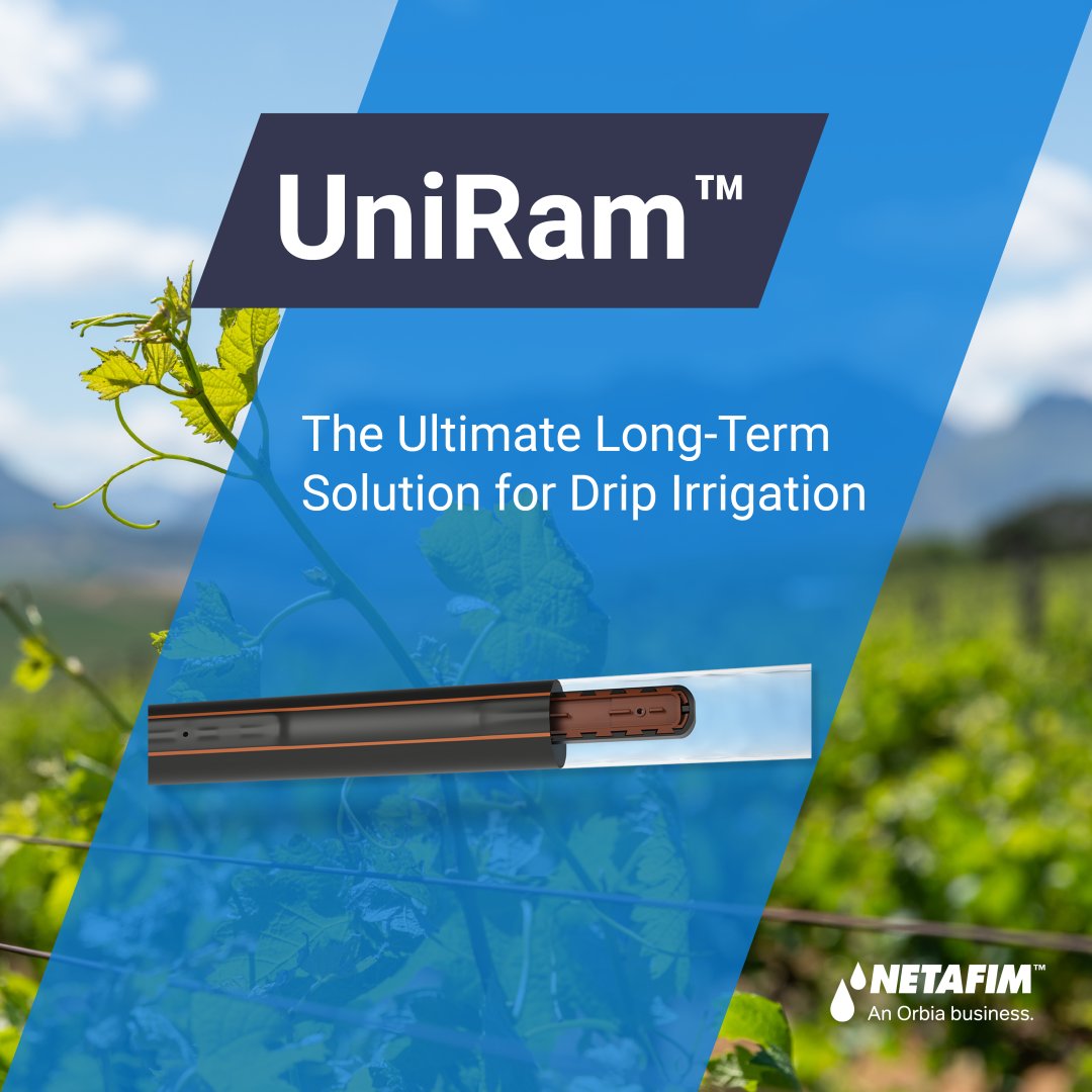 Netafim Subsurface Drip Alfalfa Watering With Subsurface Drip