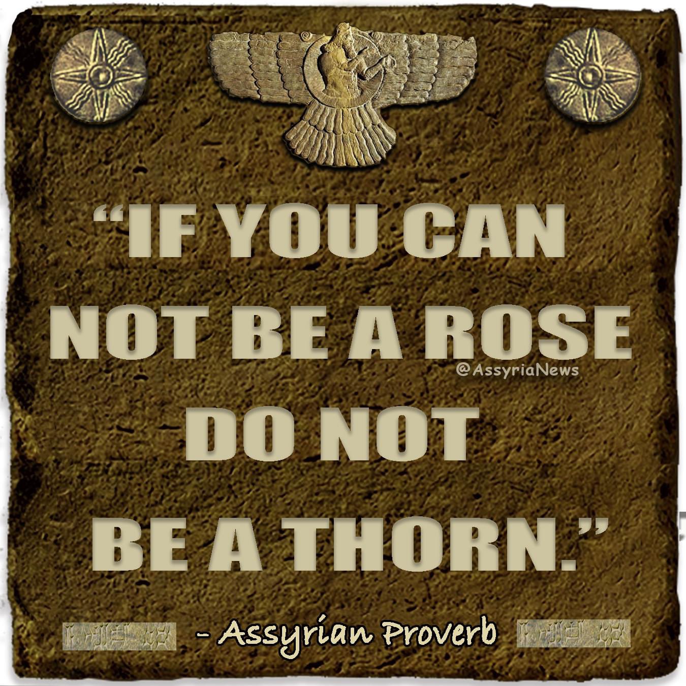 Assyrian Proverb Quotes LifeOfAssyrian On X: "This Type Of Behavior
