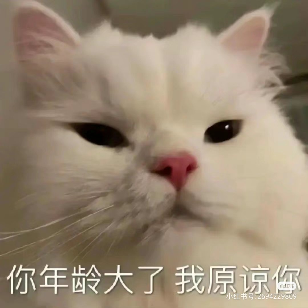 Yamon (@Yamonfla) / Posts / X
