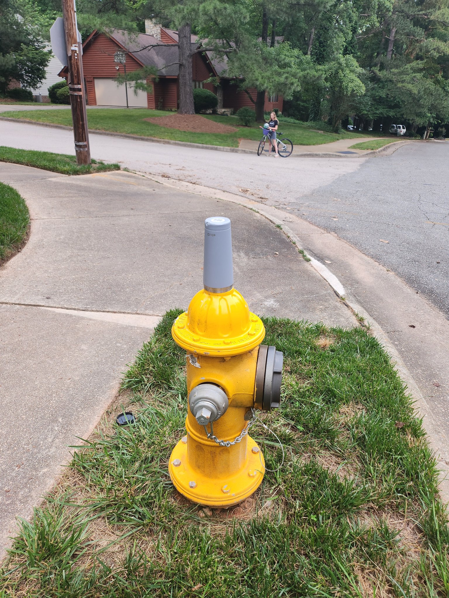 Fire Hydrant Cups Fun Fire Hydrant Cups Durable & Reusable Designs