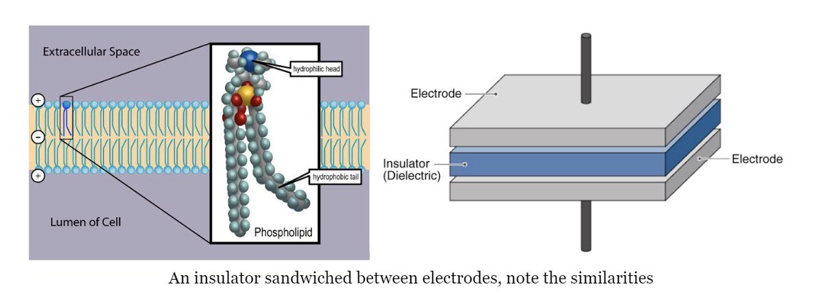 CO2 + T3 + B1's Threads – Thread Reader App