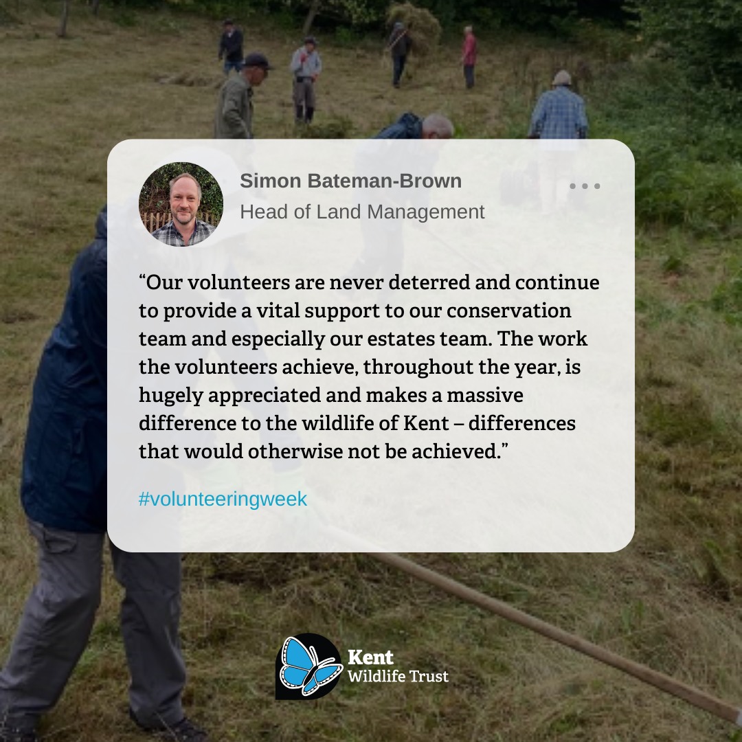 Boda De Simon Bateman