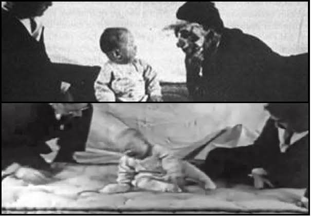 John Watson Little Albert