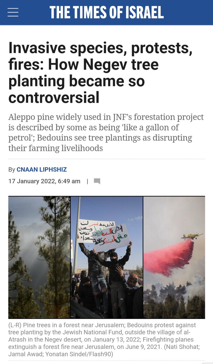 It's no surprise that Hezbollah rocket fire is igniting huge forest ...