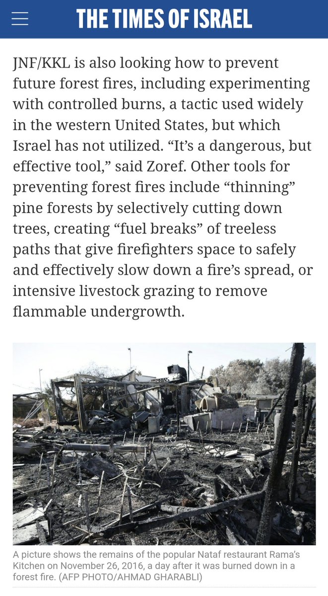 It's no surprise that Hezbollah rocket fire is igniting huge forest ...