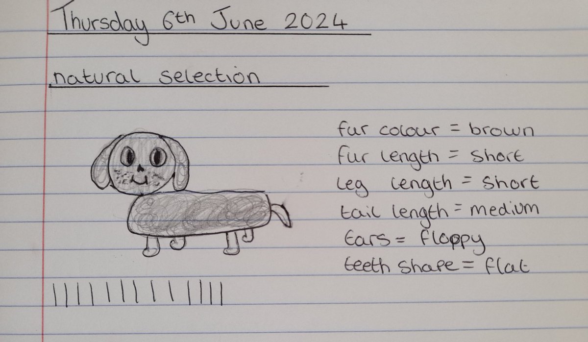 News - Framingham Earl High School