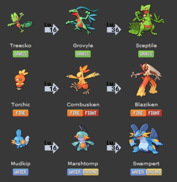 Treecko Evolution Chart Treecko Location In Pokemon Scarlet & Violet