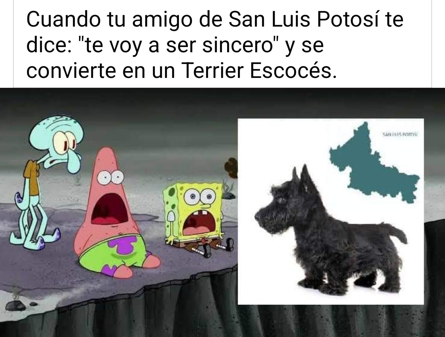 Memes De Slp 396 Reactions · 69 Shares | Santos Temoxtle On Reels