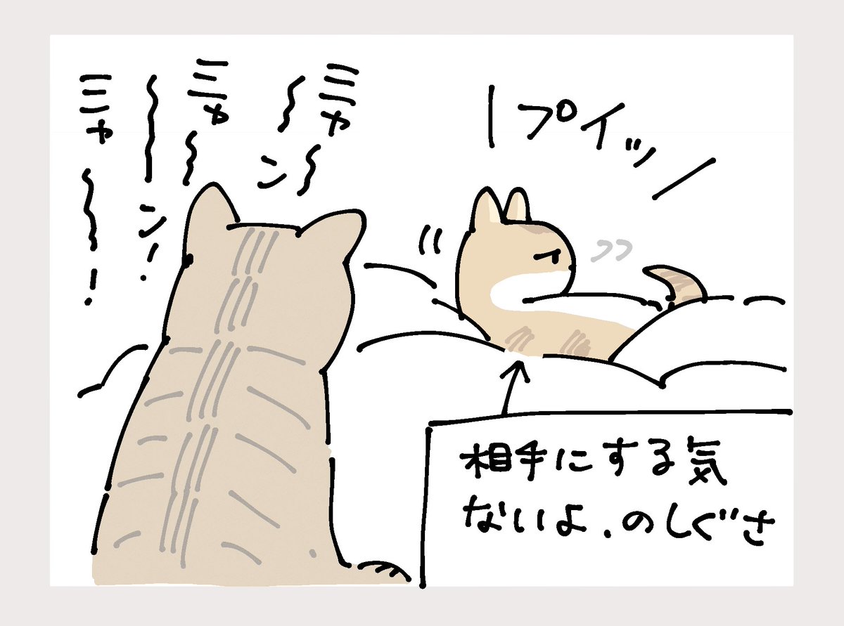 「本日のまめさん あくびするときに前足でお口を隠してた 」AKR@6巻でましたの漫画