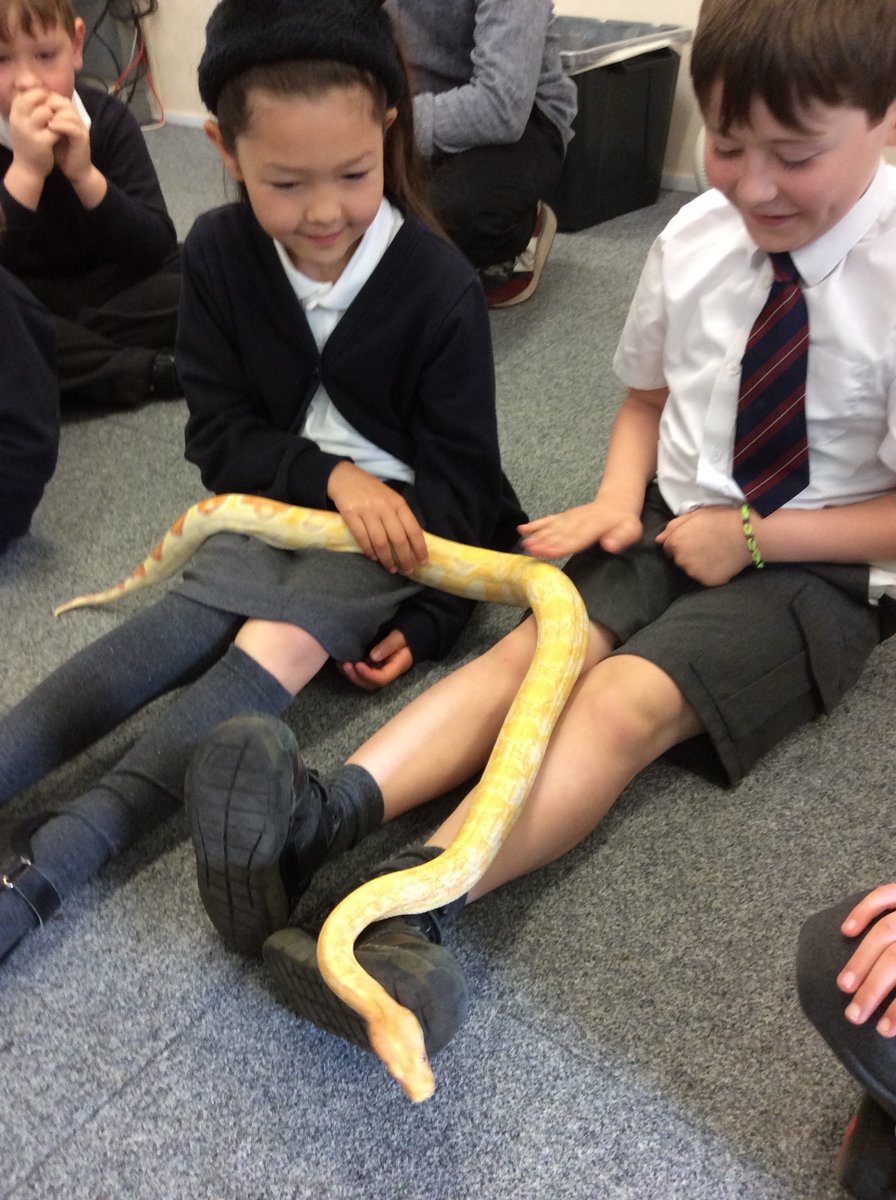 Welcome to Manor Primary School