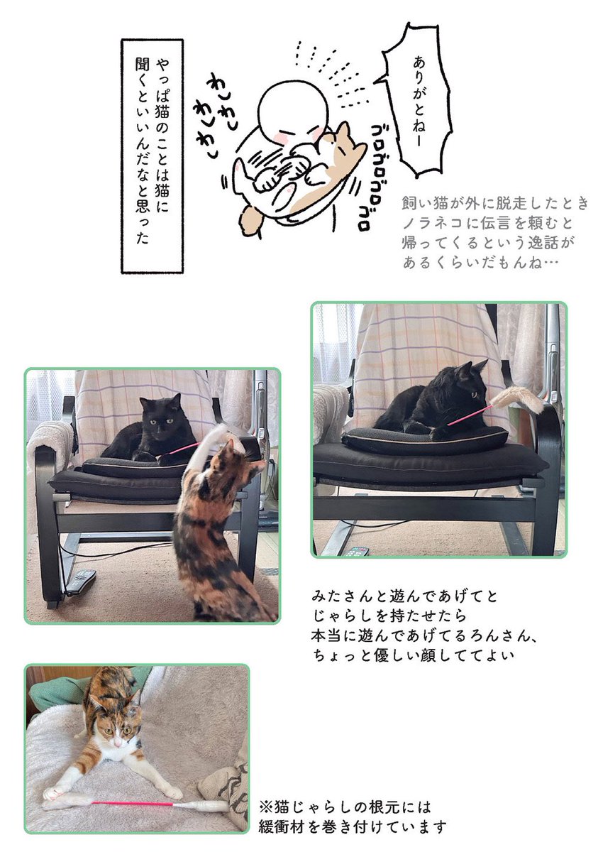 「おまけ(11/10) 」AKR@6巻でましたの漫画