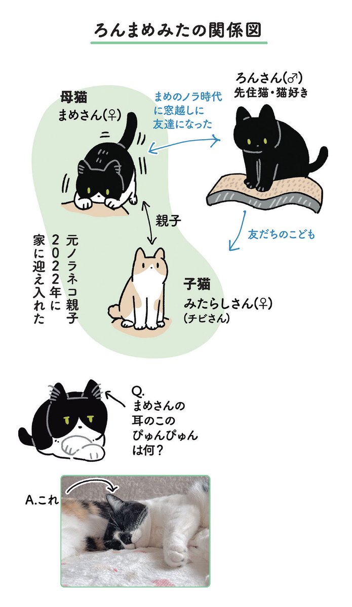 「おまけ(11/10) 」AKR@6巻でましたの漫画