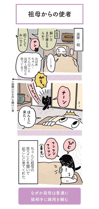 黒猫ろんさんたちの絵日記まとめです(1/10) | AKR｜7巻でたよ さんのマンガ | ツイコミ(仮)
