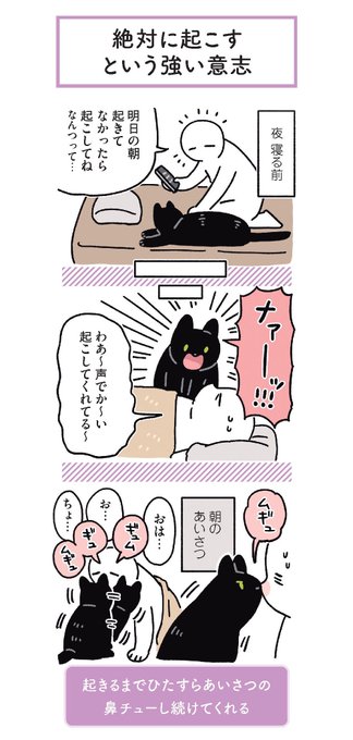 つづき(2/10) | AKR🌱7巻でます さんのマンガ | ツイコミ(仮)