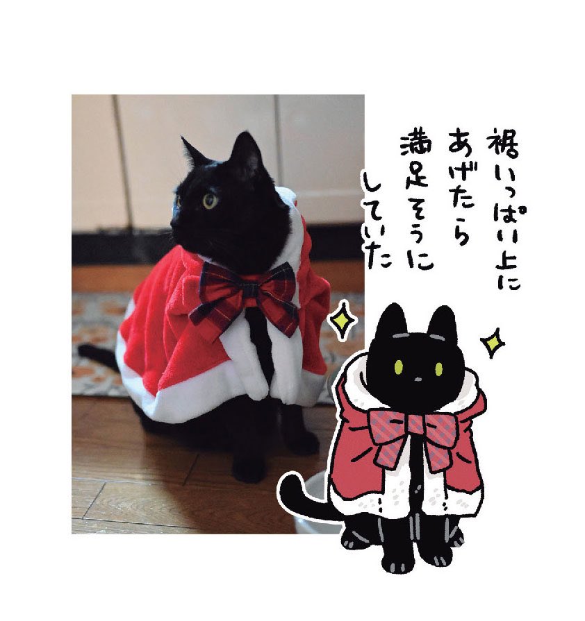 「黒猫ろんさんたちの絵日記まとめです(1/10) 」AKR｜7巻でたよの漫画