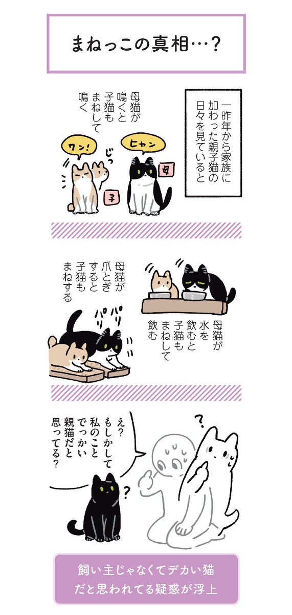 7/10) 」AKR@6巻でましたの漫画