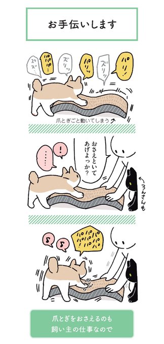 (9/10) | AKR🌻7巻でたよ さんのマンガ | ツイコミ(仮)