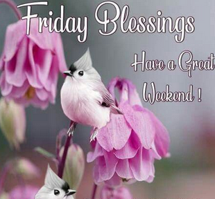 Have A Blessed Friday