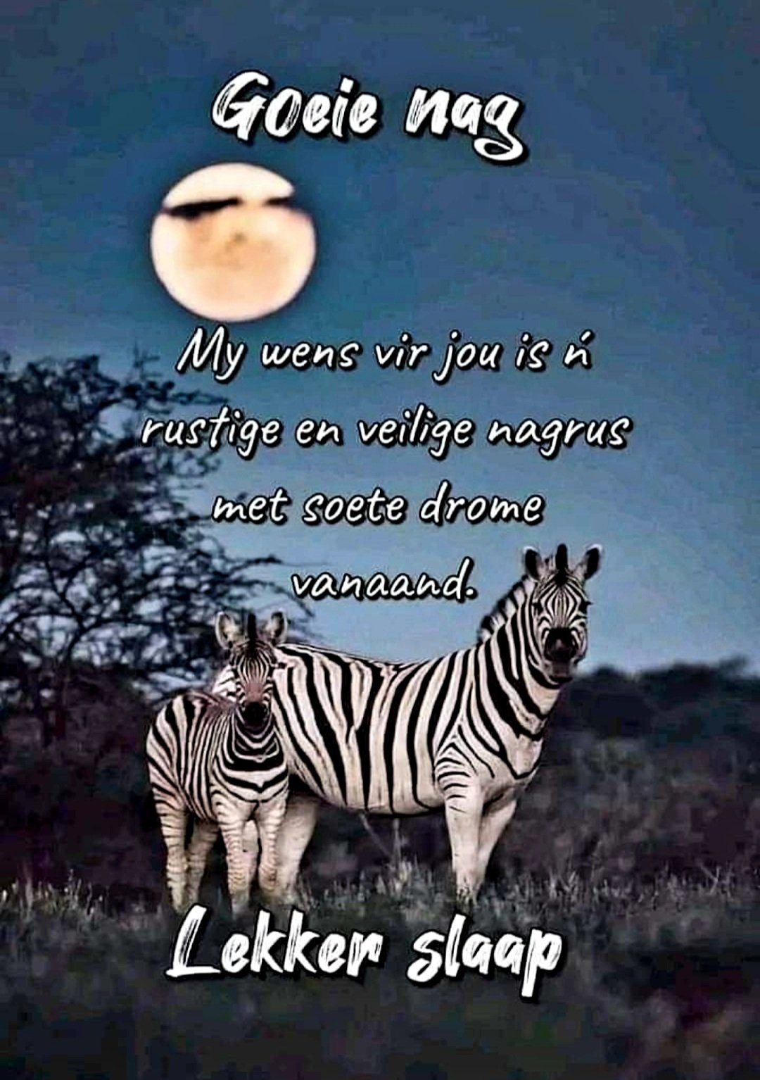 Nag Quotes Matt Nagy In High School, It Was NEH Gee. In College,