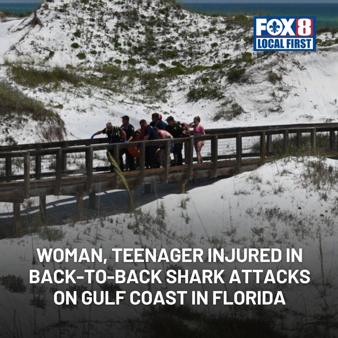 Shark Sightings Panama City Beach 3 Florida Shark Attacks In One Day