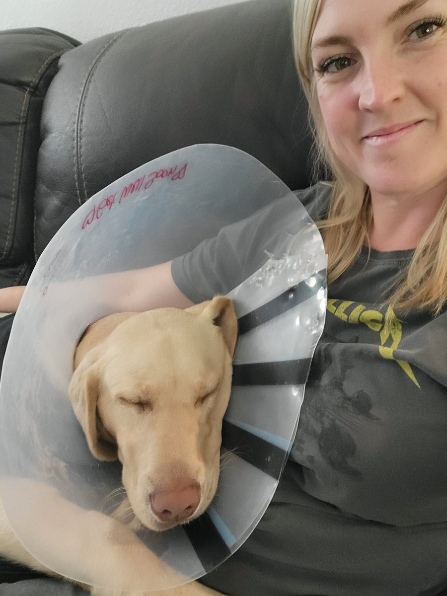 Taryn Daly's Instagram, Twitter & Facebook on IDCrawl