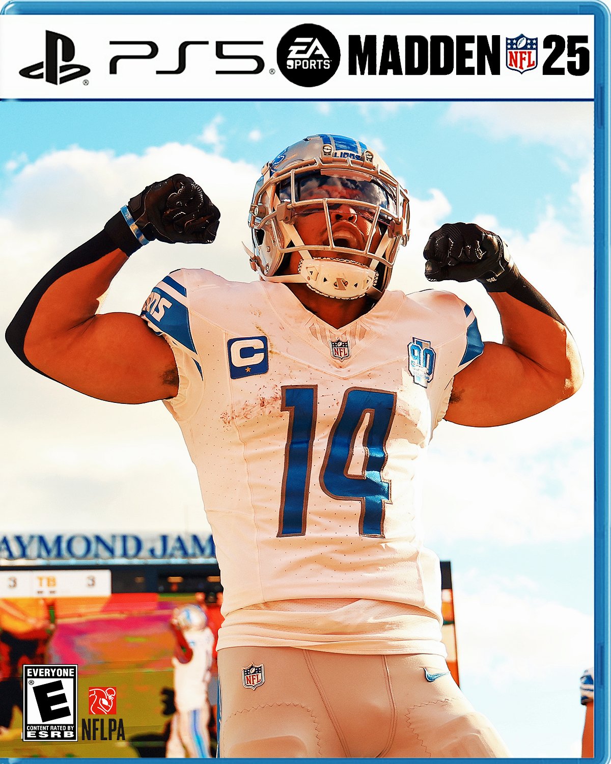 Madden 25 Custom Covers