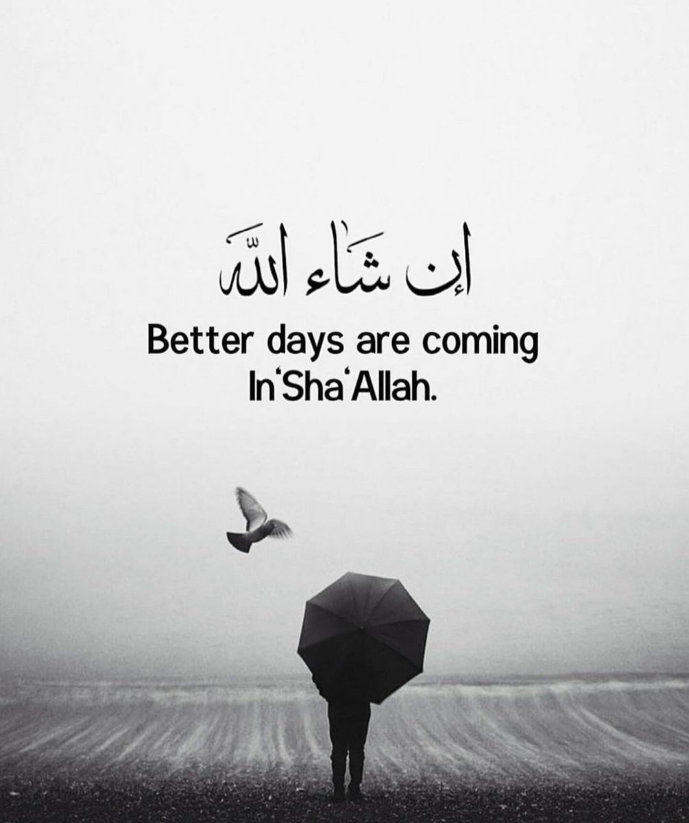 Insha Allah Quotes Inshallah, One Day I Will Be Blessed With Children.