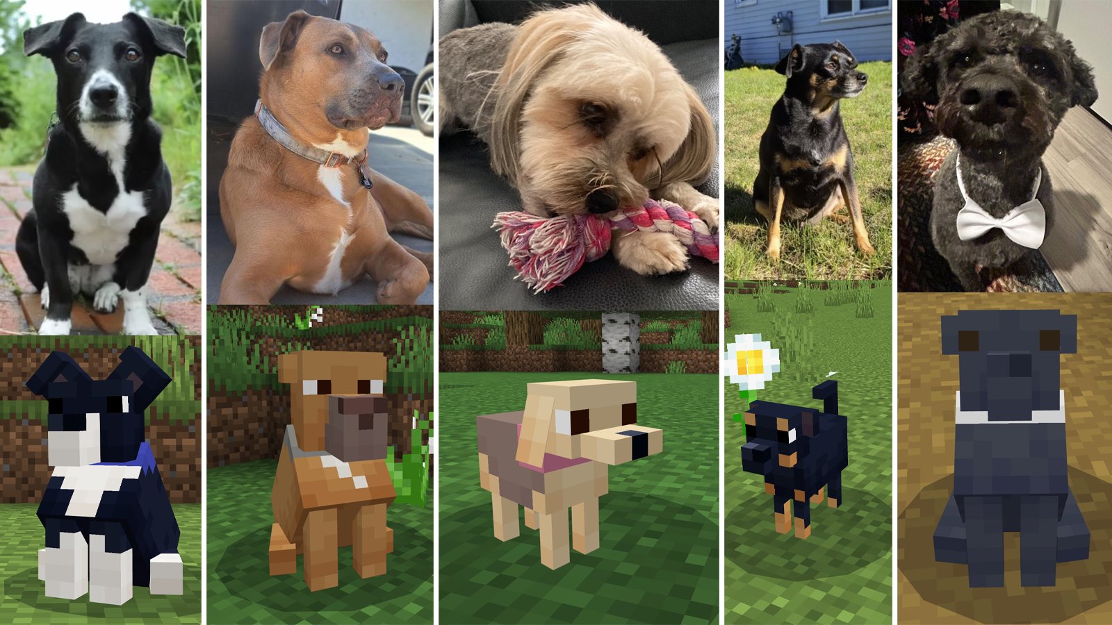 Minecraft Dog Wallpaper Minecraft Movie Wallpaper Iphone | TikTok
