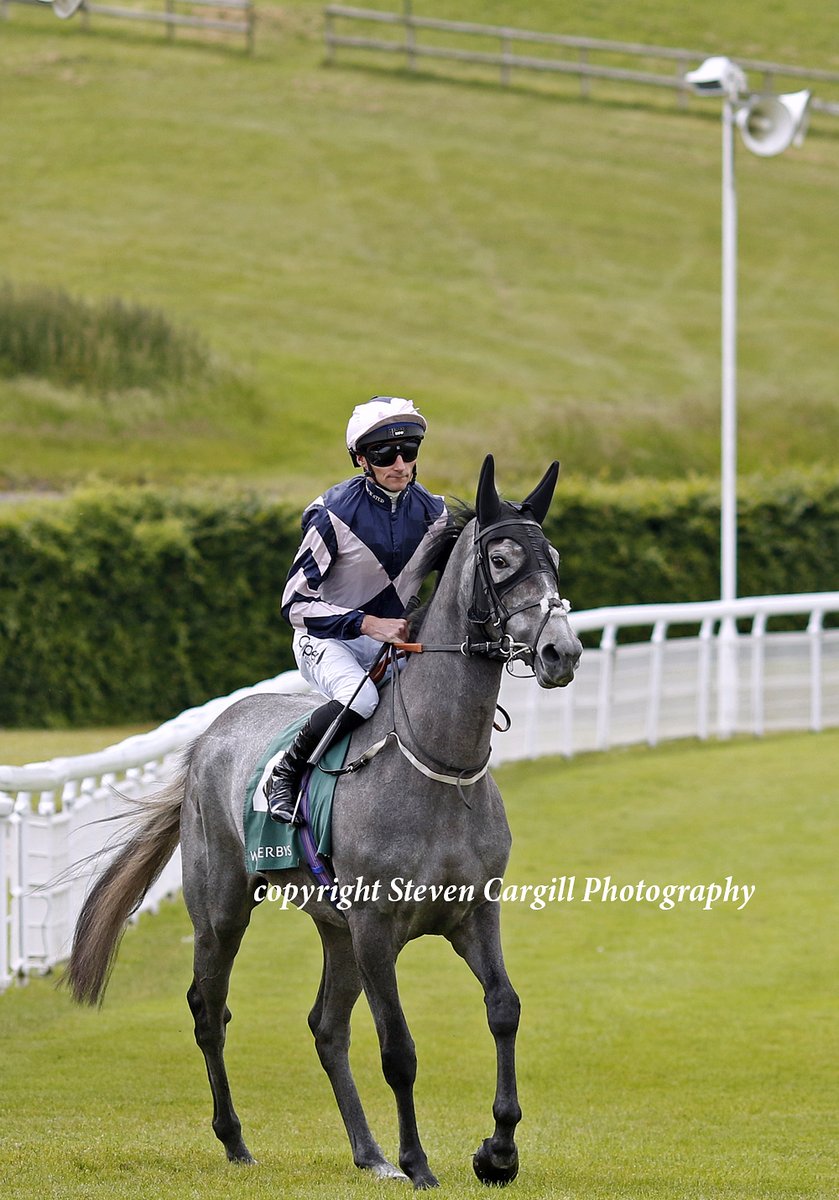 David O'Meara Racing | Racehorse Trainer in York | Get your heart racing!