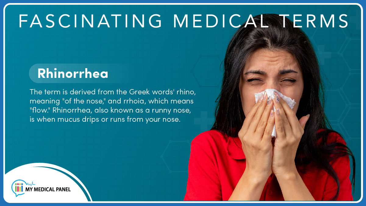 Rhinorrhea meaning store