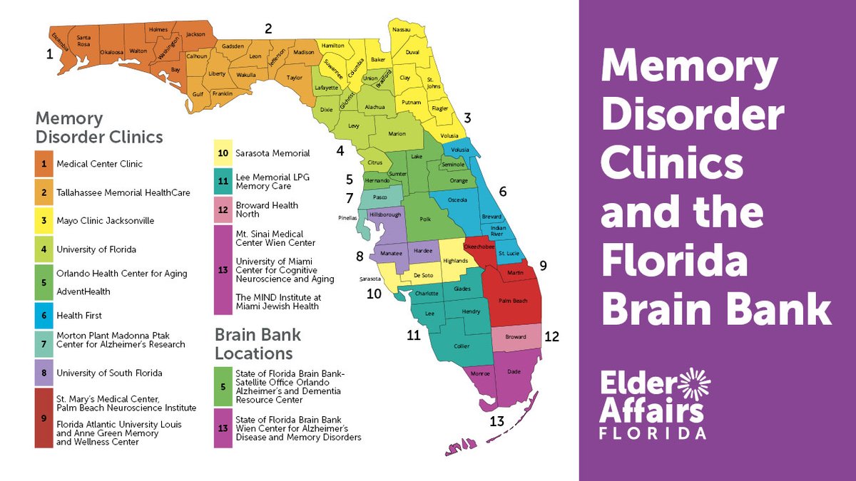 Florida Dma Map