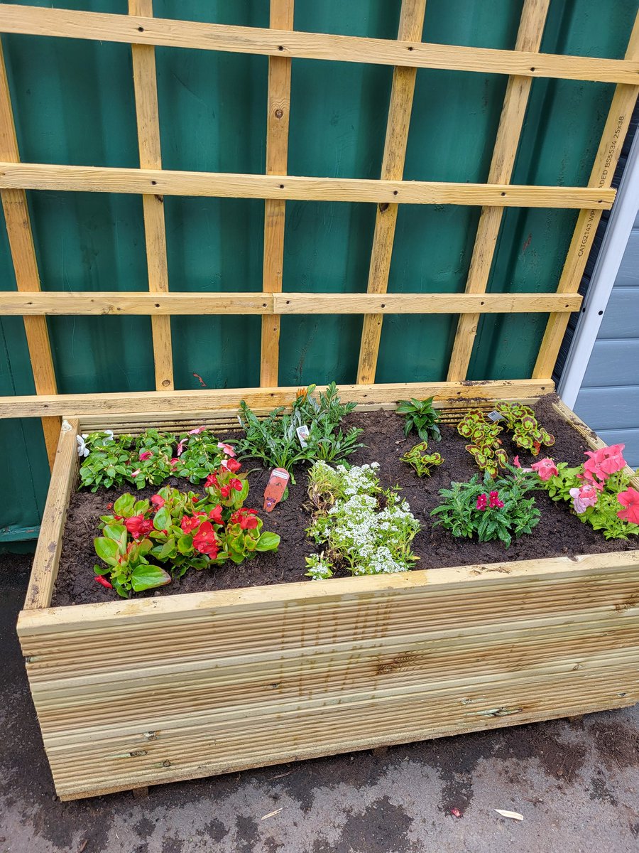 Three Lane Ends Academy - Latest News