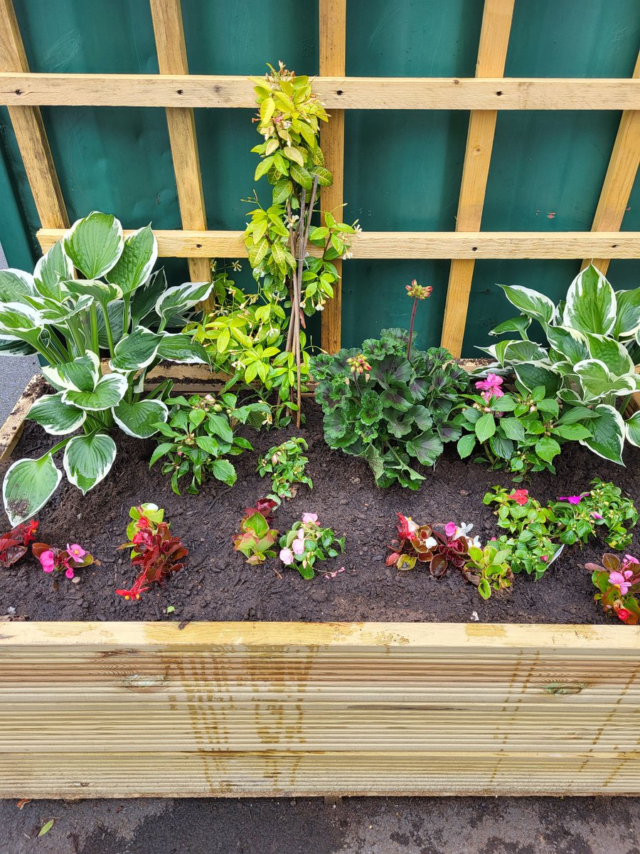 Three Lane Ends Academy