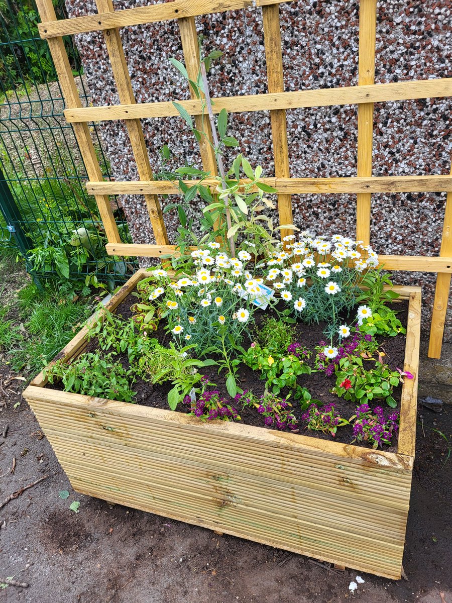 Three Lane Ends Academy - Latest News