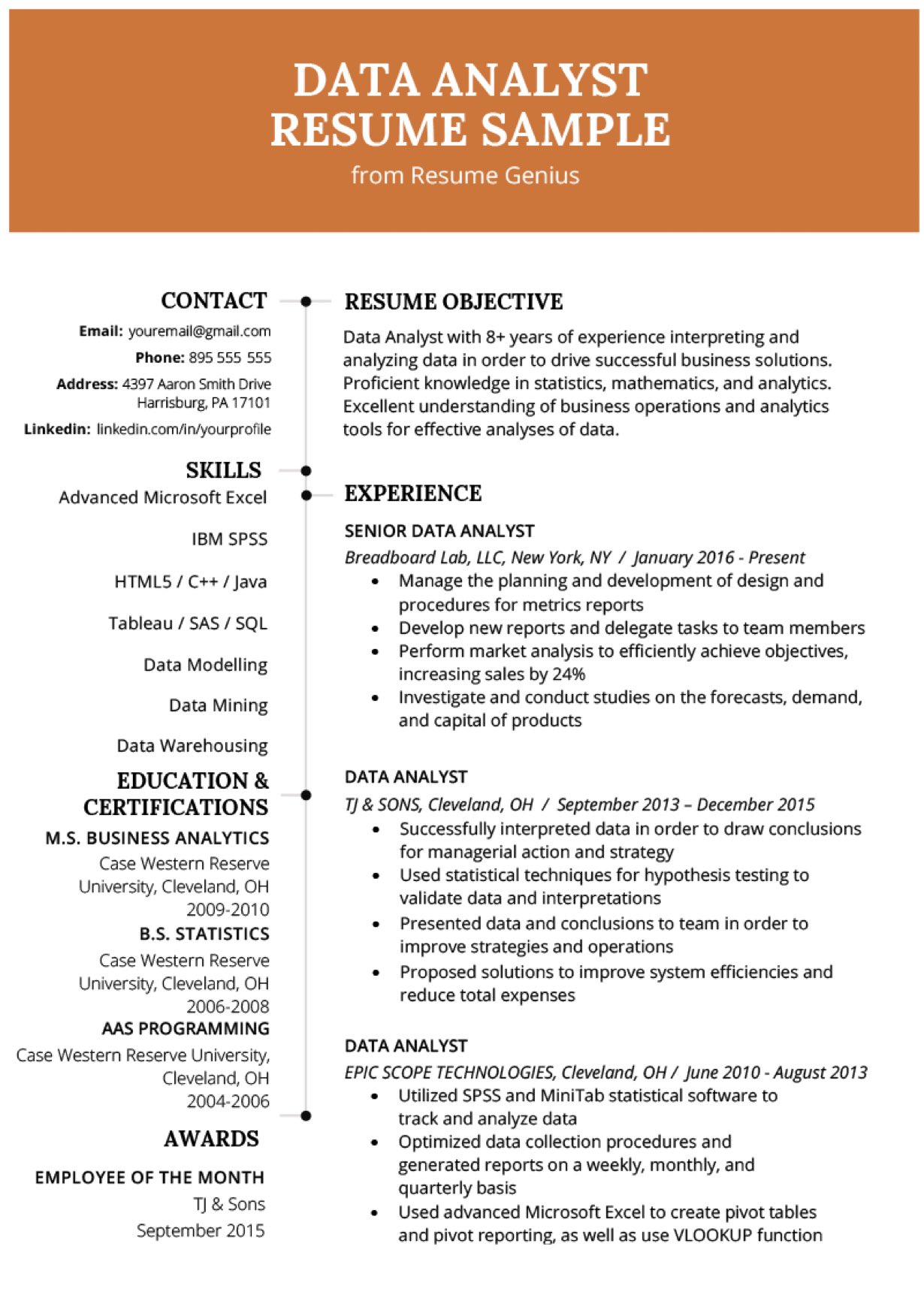 Data Analyst Resume Examples