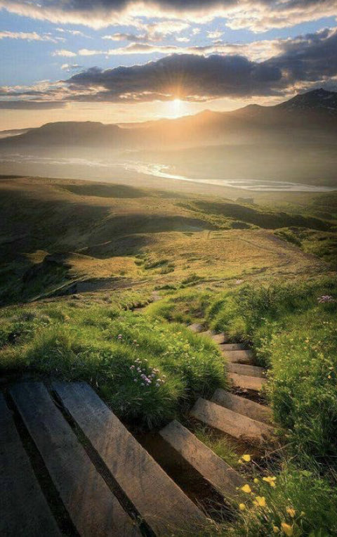 “The steps of a man are established by the LORD, when He delights in ...