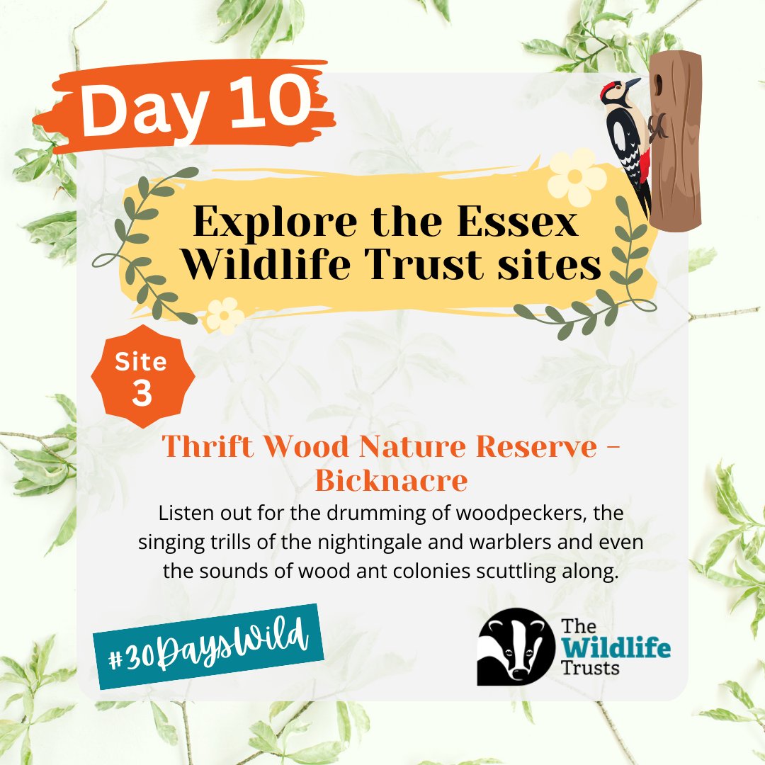 Welcome to The Sandon School