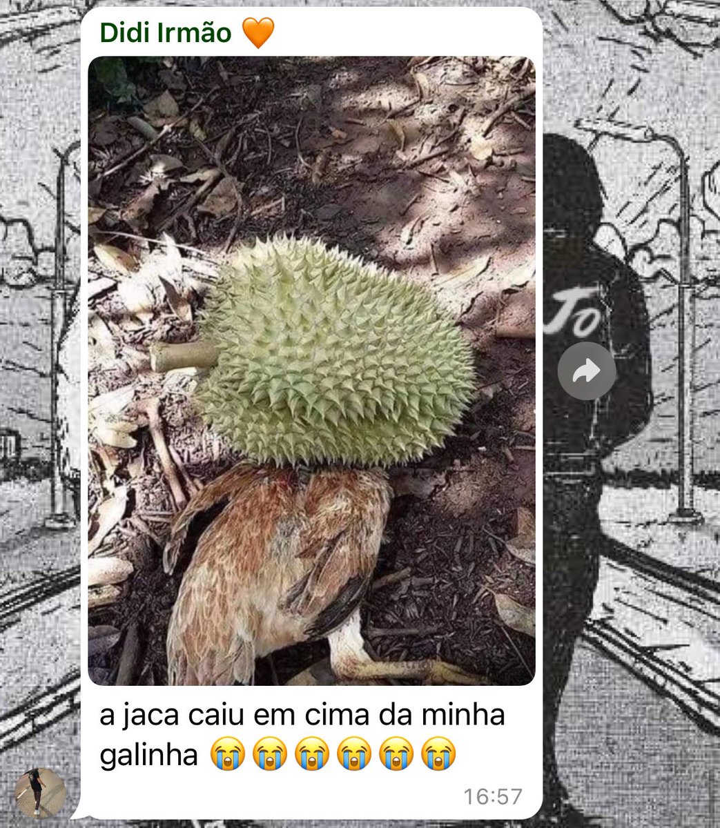 loira (@madu_deazevedo) / Posts / X