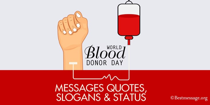Blood Bank Quotes