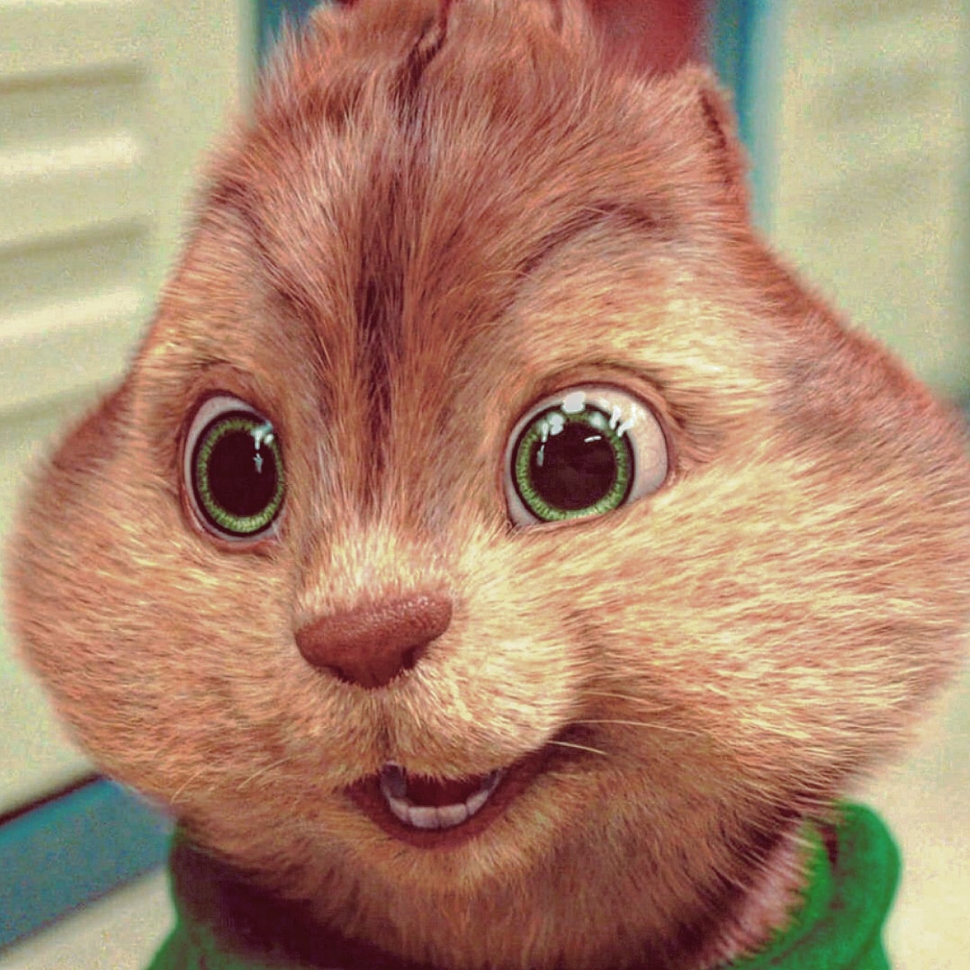 Alvin And The Chipmunks Theodore Face