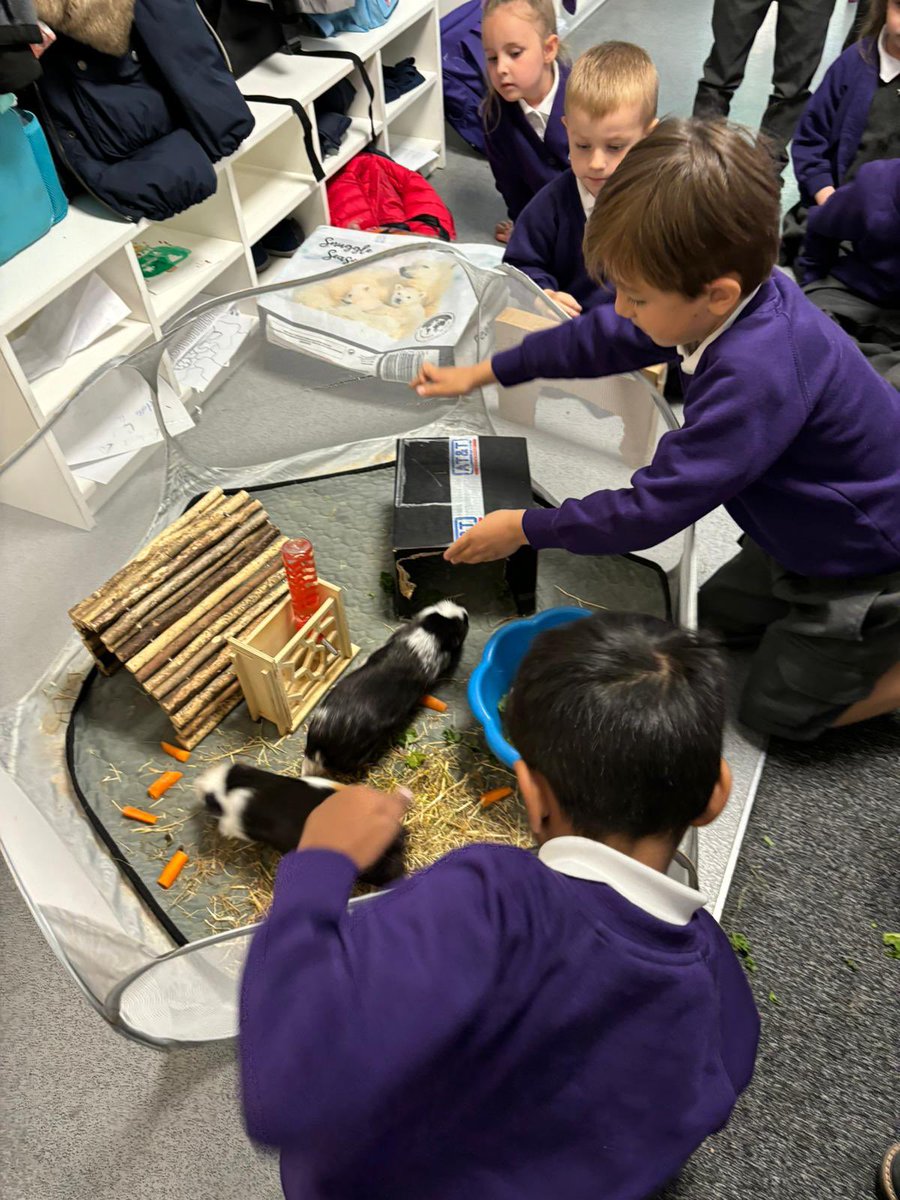 Welcome to Park Academy