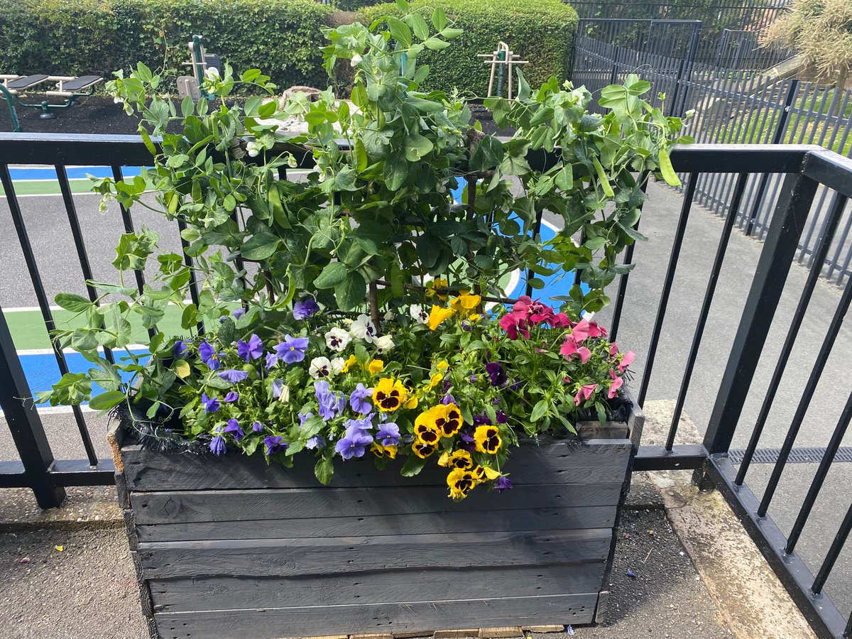 Welcome to Ethos College - Ethos College