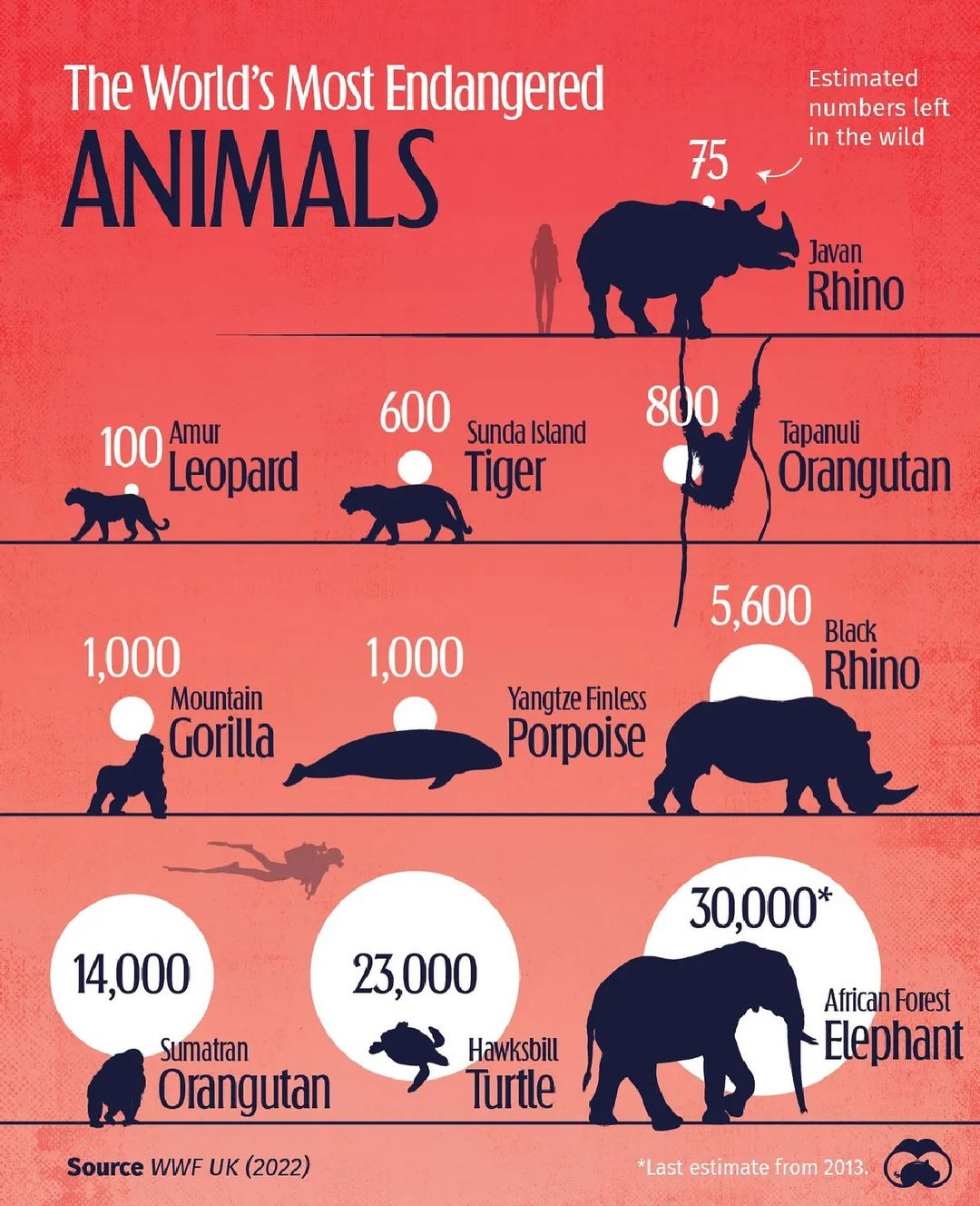 Endangered Animals Poster Wwf The World's Most Endangered Species Are