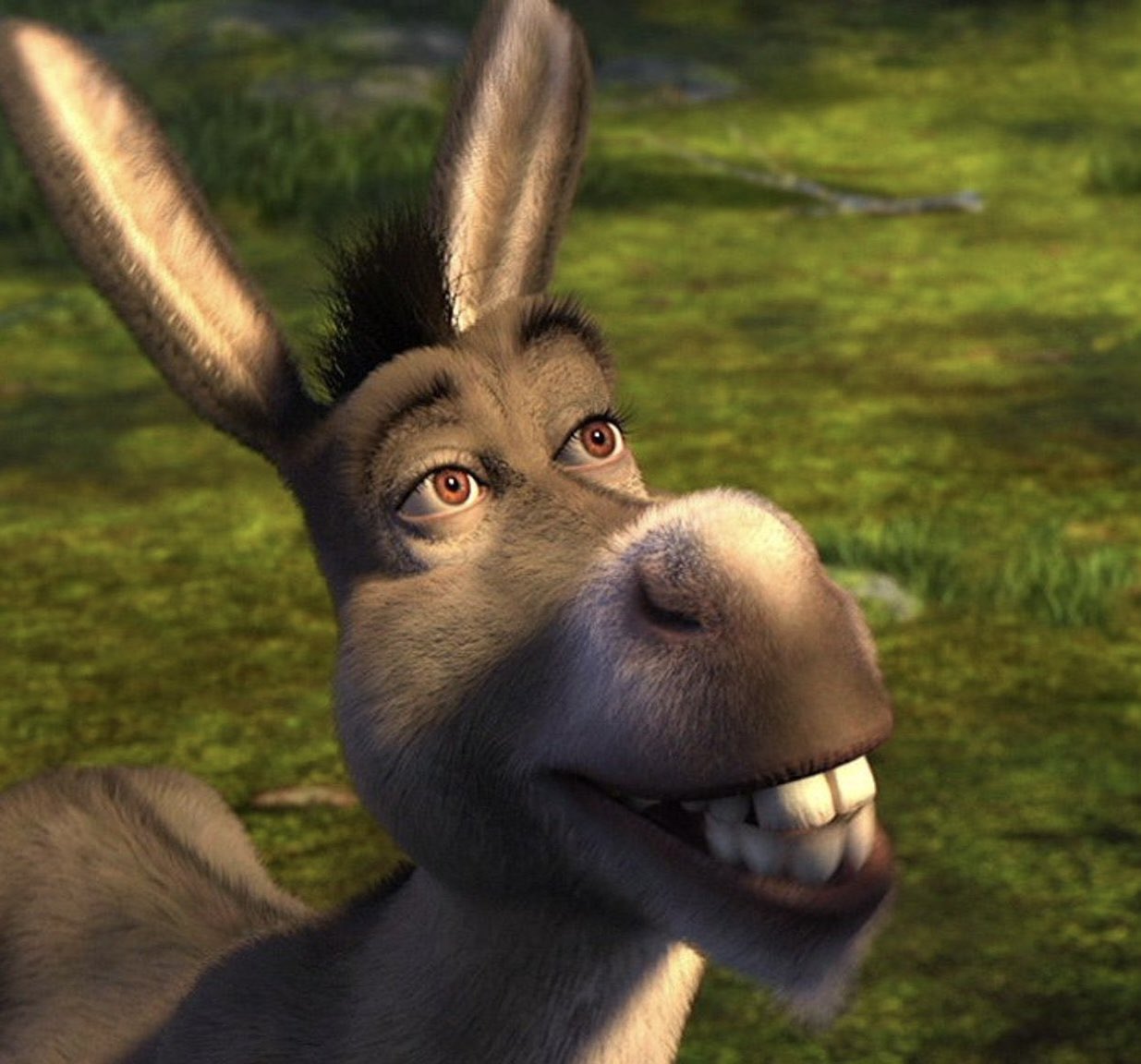 Donkey Shrek Face