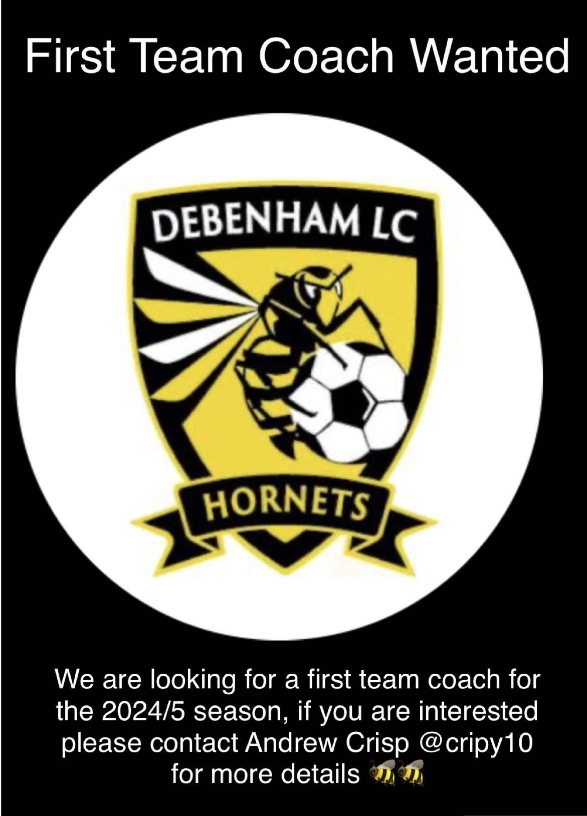 Lc Club Logo V Ling: Willow Springs