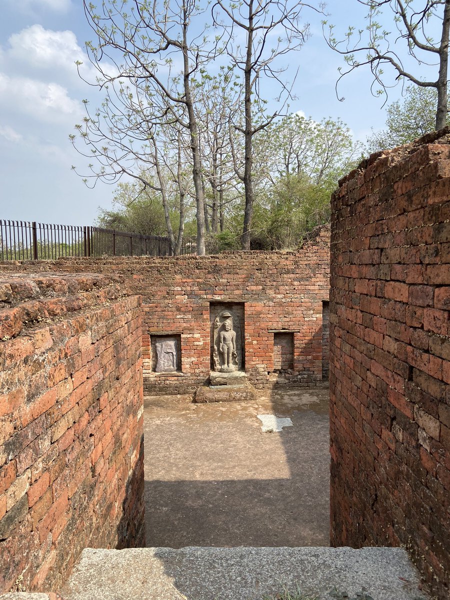 MagadhX₿T's Threads – Thread Reader App